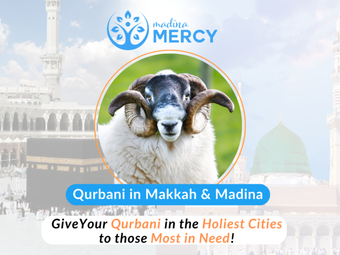 Qurbani in Makkah & Madina | LaunchGood | LaunchGood